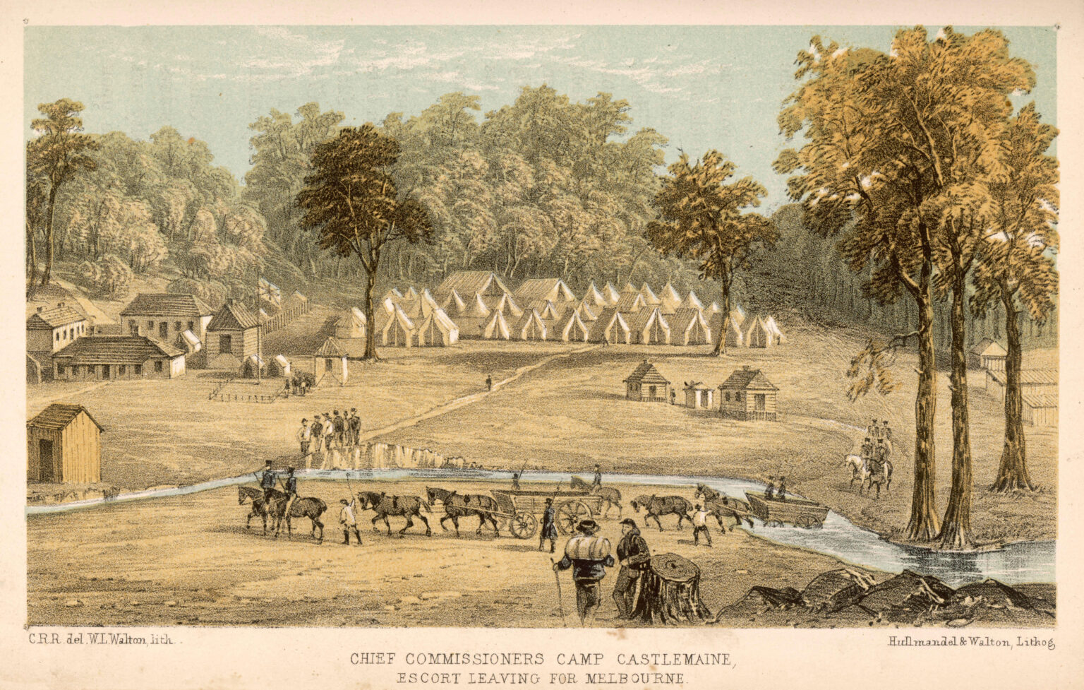 Camp Reserve – Castlemaine Society